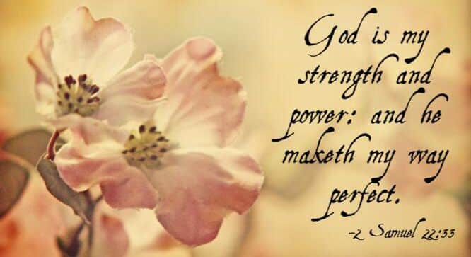 Bible Verses about Strength - King James Version