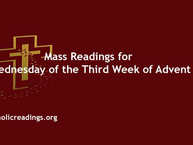 Catholic Daily Readings 2024, Sunday Mass Gospel Year B, Homily