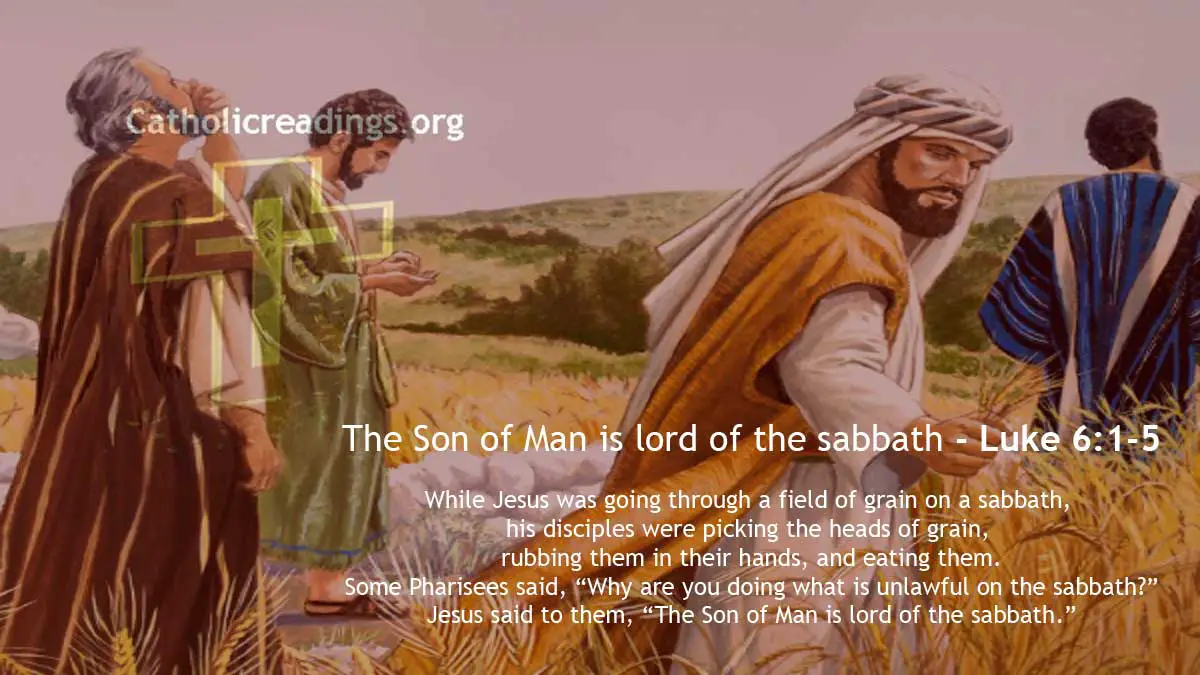 The Son of Man is Lord of the Sabbath - Luke 6:1-5, Matthew 12:1-8 ...