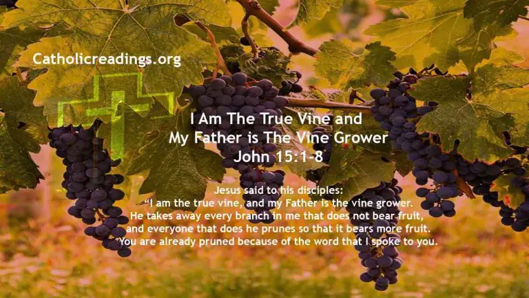 I Am The True Vine and My Father is The Vine Grower - John 15:1-8 ...