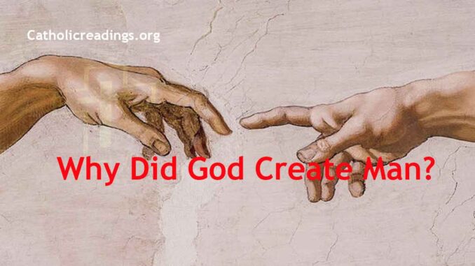 Why Did God Create Man? - Why God Created Us - Bible Verse of the Day