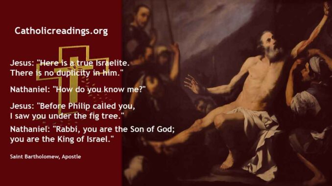 St Bartholomew the Apostle - Feast Day - August 24 2023 - Catholic ...